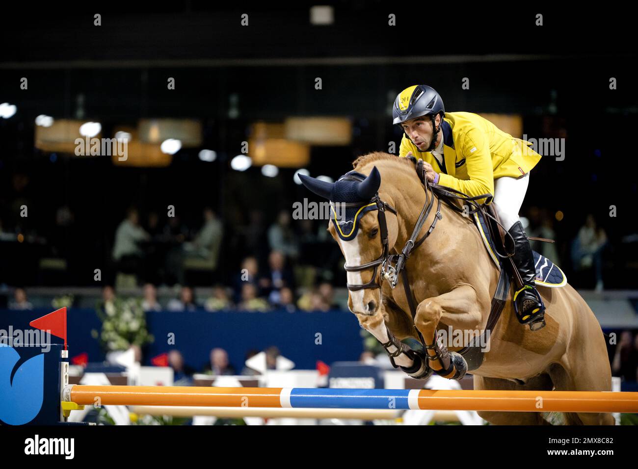 Wildlife kingphotography hi-res stock photography and images - Alamy