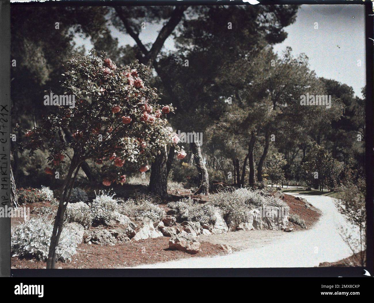 Rocaille setting hi-res stock photography and images - Alamy