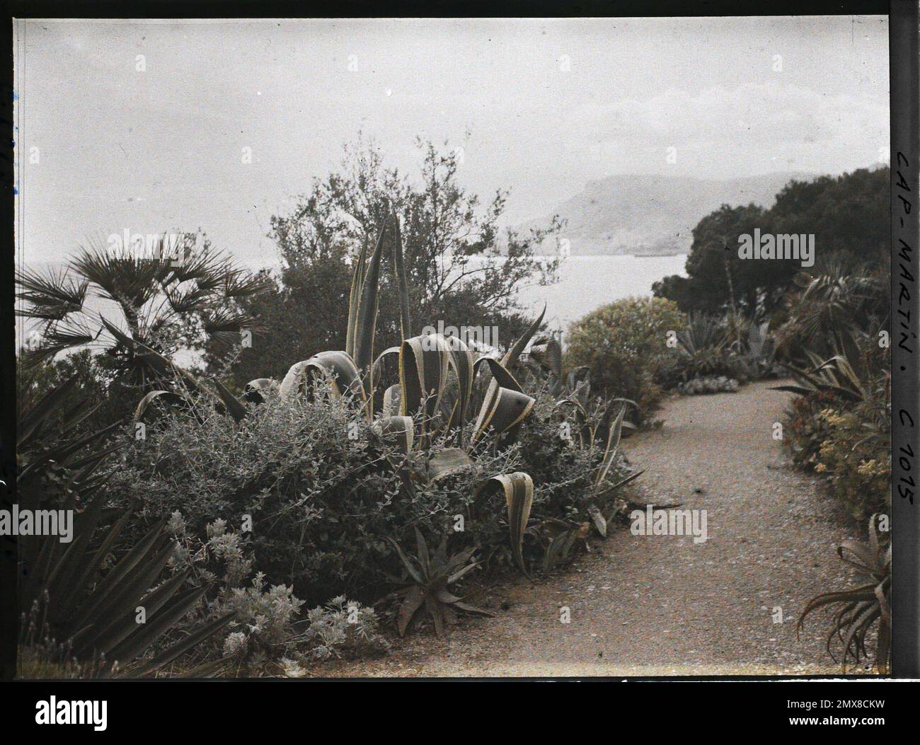 Cap Martin , France , 1927 - Cap Martin - Auguste Léon - (March -April ...