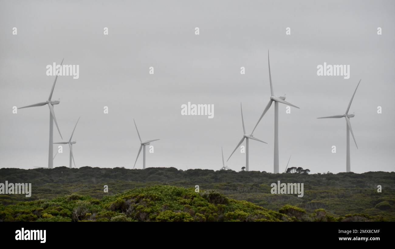 Wind farm on the Victorian coastline in Australia has many turbines ...