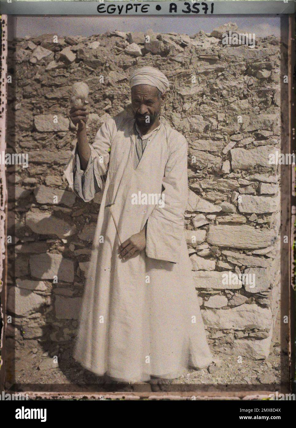 Saqqarah, Egypt, Africa a man spinning the wool poses for the operator ...