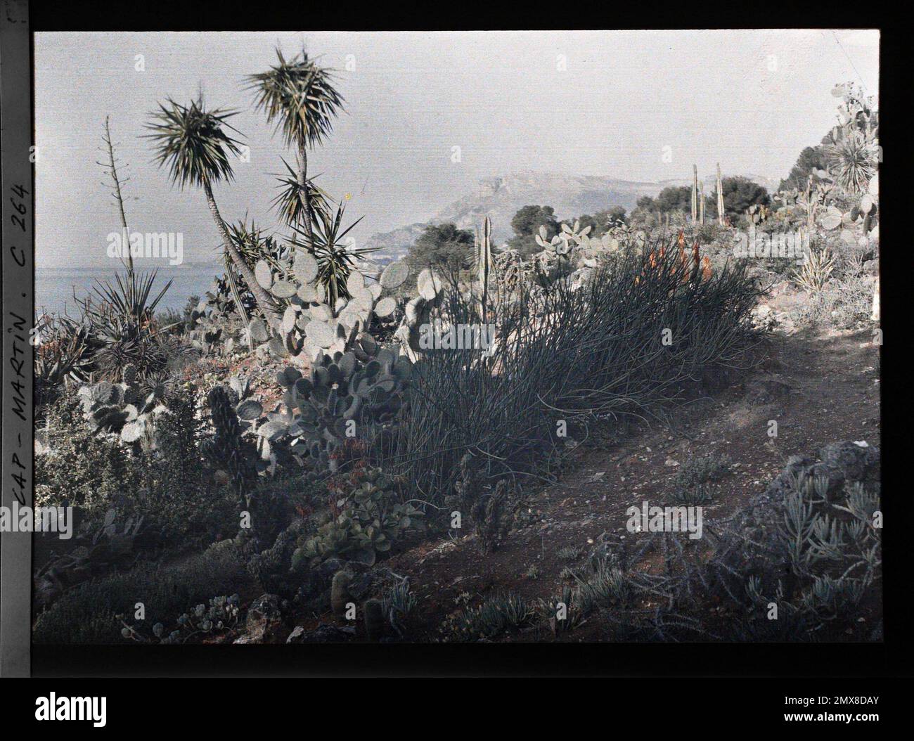 Cap Martin , France , 1914 - Cap Martin - Auguste Léon - (March Stock ...