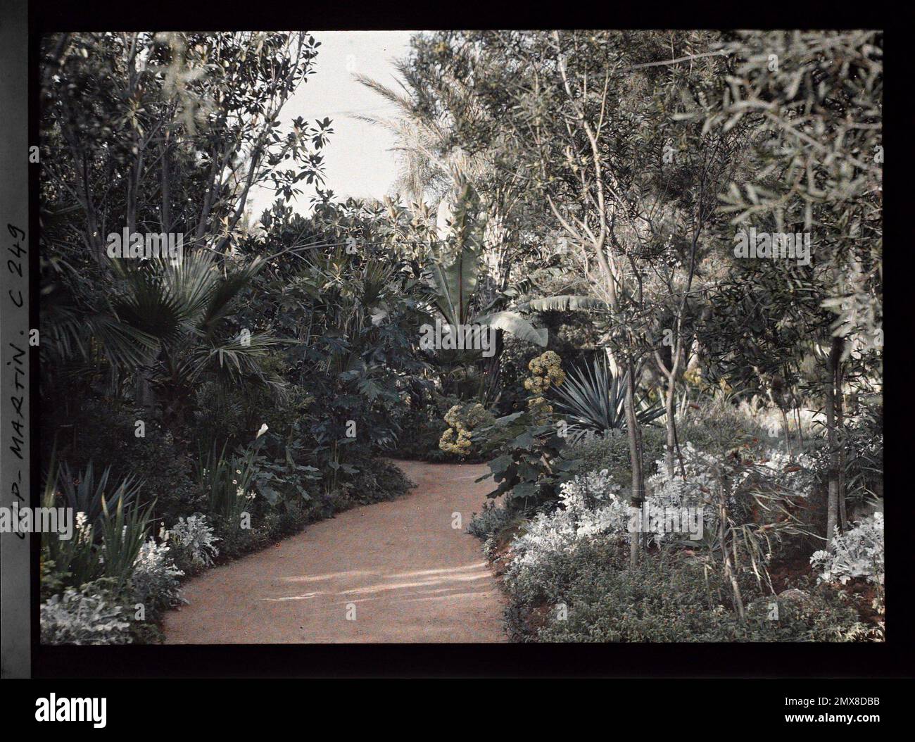 Cap Martin , France , 1914 - Cap Martin - Auguste Léon - (March Stock ...