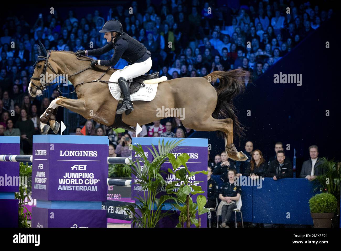 AMSTERDAM - Rider Jodie Hall McAteer (GBR) on Salt n Peppa during the ...