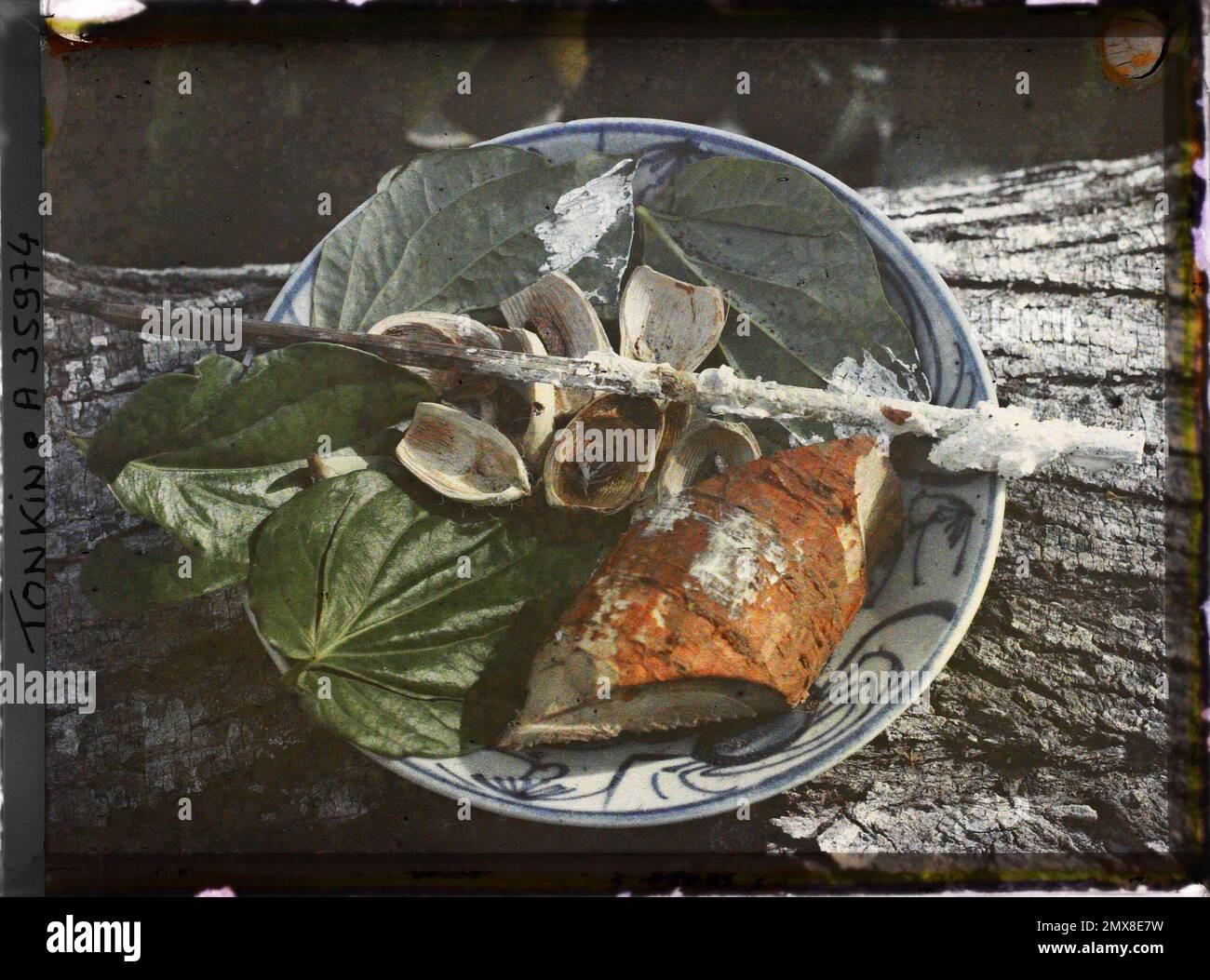 What it takes to chew betel hi-res stock photography and images - Alamy