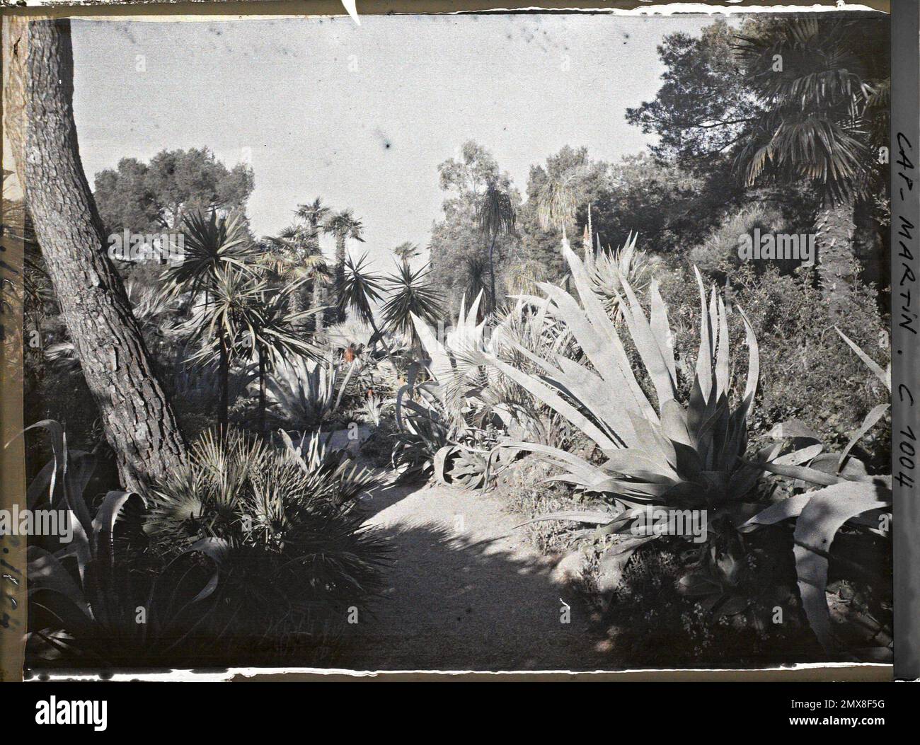 Cap Martin , France , 1927 - Cap Martin - Auguste Léon - (March -April ...