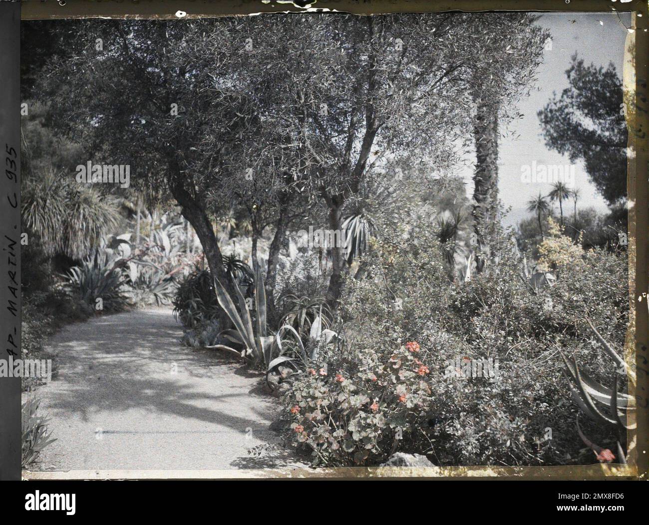 Cap Martin , France , 1927 - Cap Martin - Auguste Léon - (March -April ...