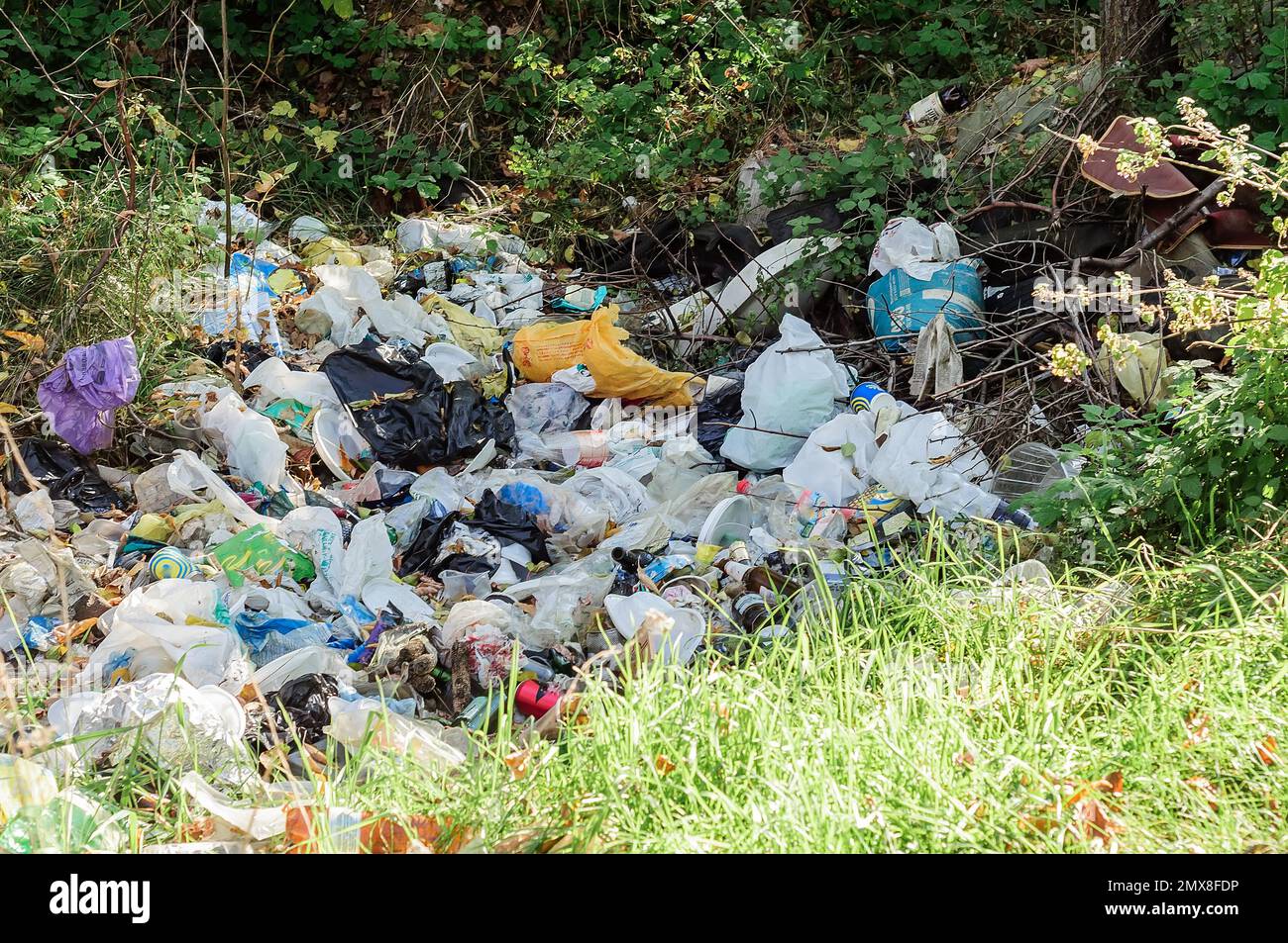 Unauthorized pile of garbage in the city of recreation in nature. Human ...