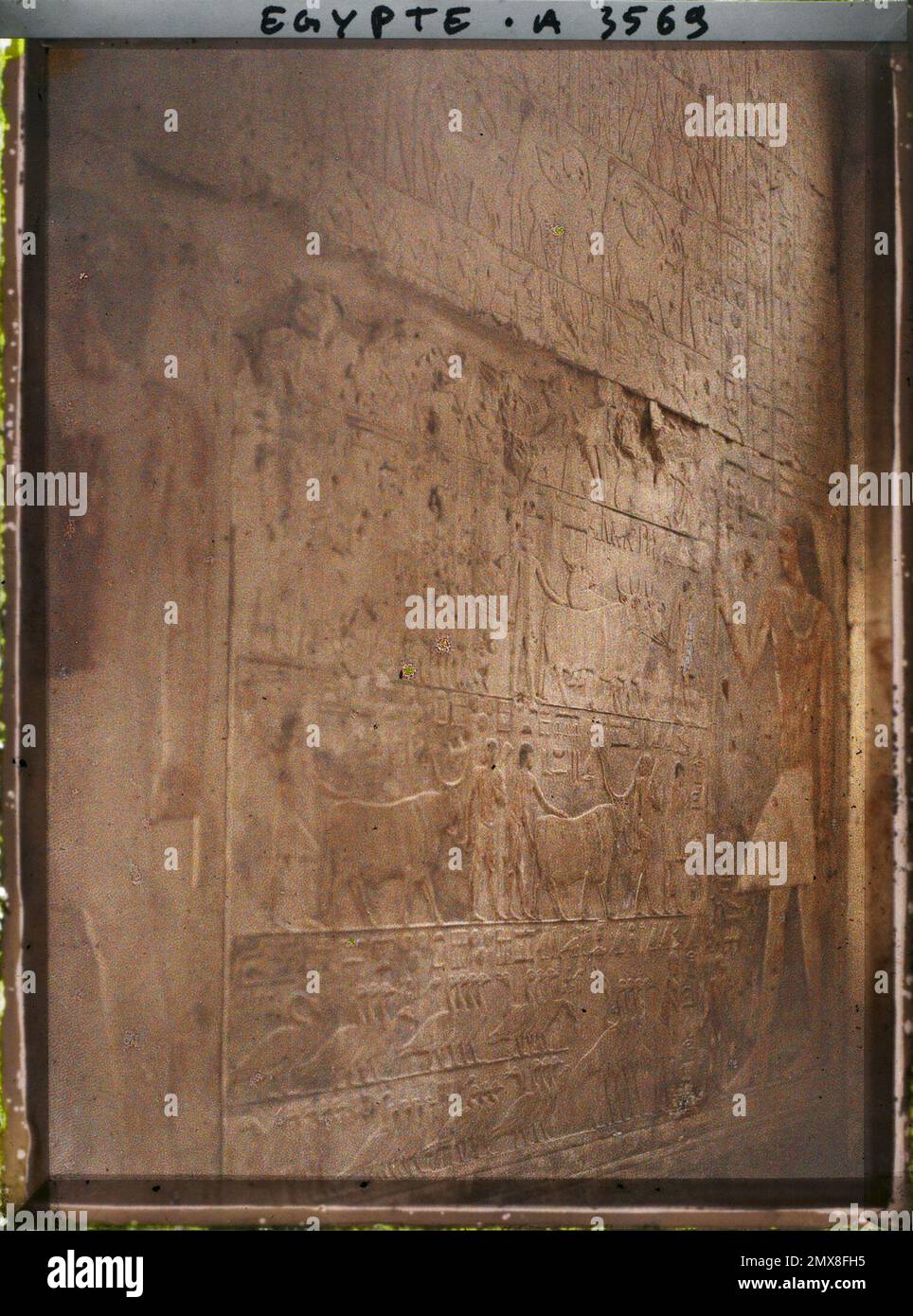 Saqqarah, Egypt, Africa Bas-reliefs in the mastaba of Ptahhotep son of ...