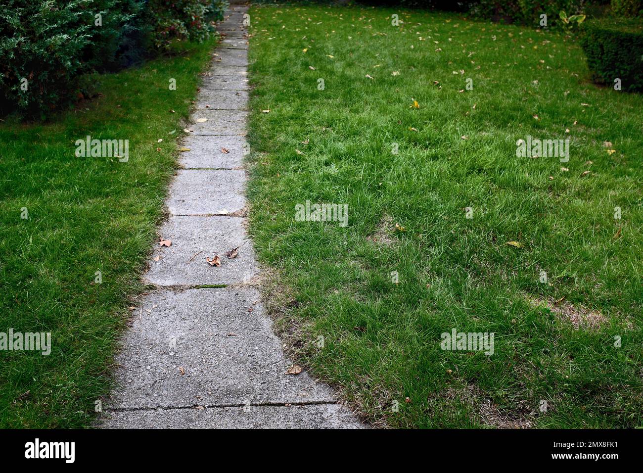 Concrete Path through Green Lawn Stock Photo - Alamy