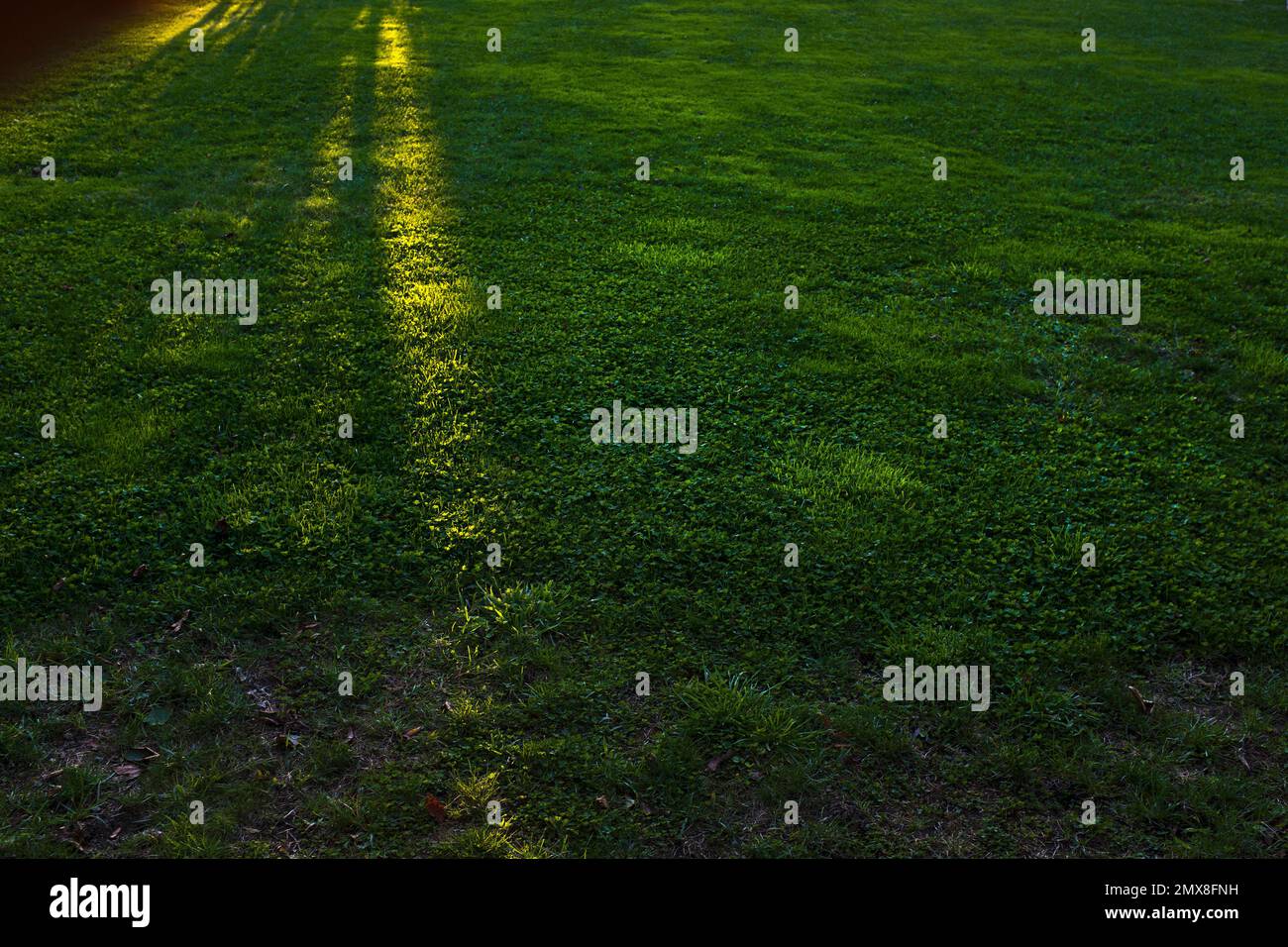 Streaking sunlight hi-res stock photography and images - Alamy