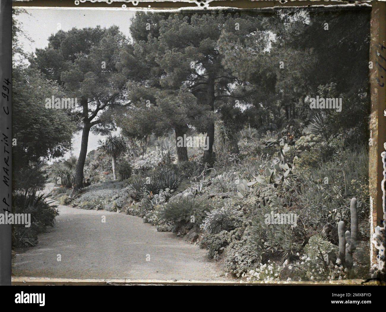 Cap Martin , France , 1927 - Cap Martin - Auguste Léon - (March -April ...