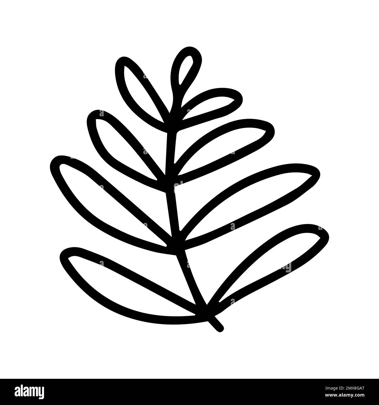 Vector branch with leaves Stock Vector Image & Art - Alamy