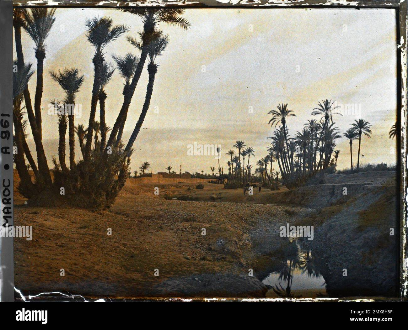 La palmeraie marrakech hi-res stock photography and images - Alamy