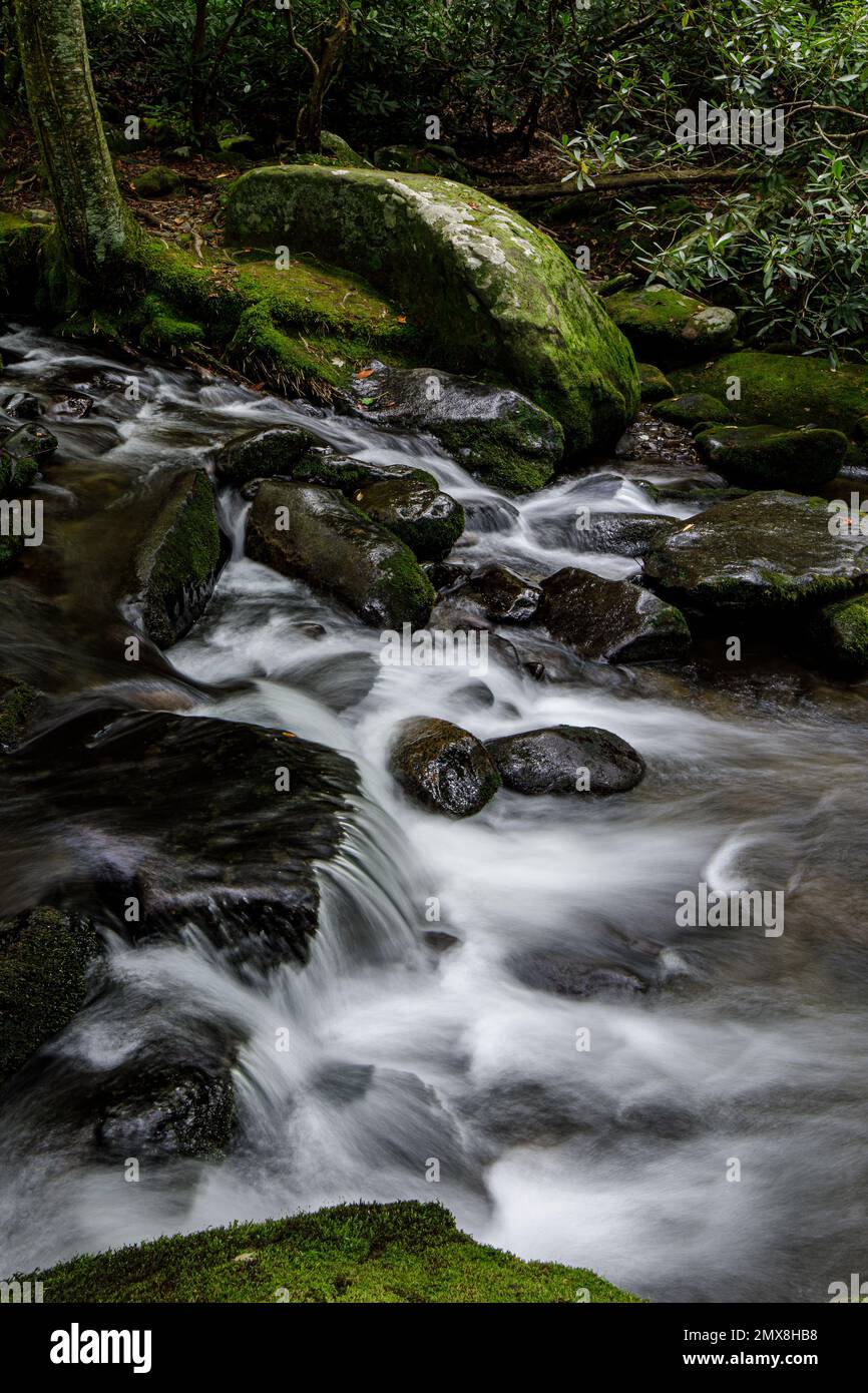 The Roaring Fork stream behind the historic Jim Bale's Place along the ...