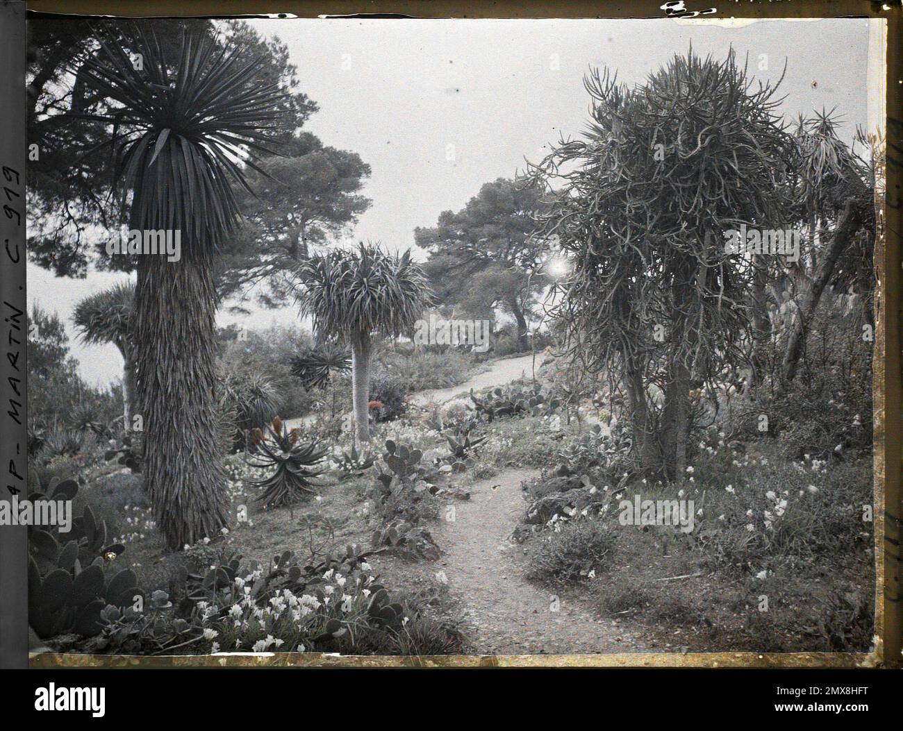 Cap Martin , France , 1927 - Cap Martin - Auguste Léon - (March -April ...