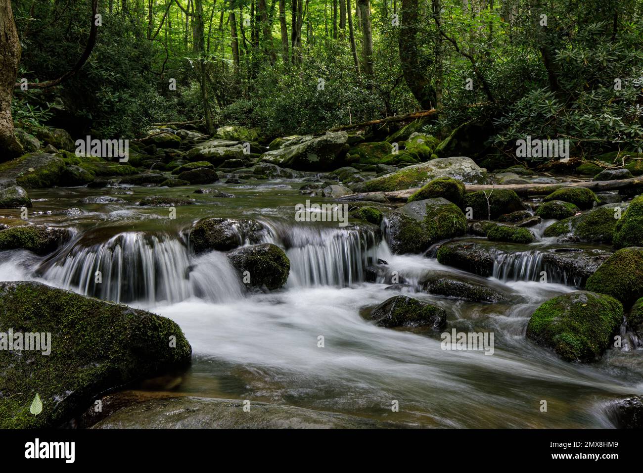 The Roaring Fork stream behind the historic Jim Bale's Place along the ...