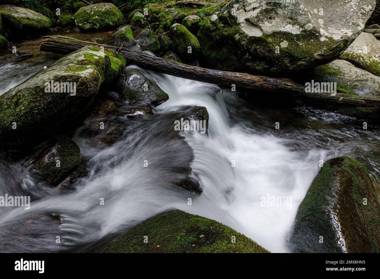 The Roaring Fork stream behind the historic Jim Bale's Place along the ...
