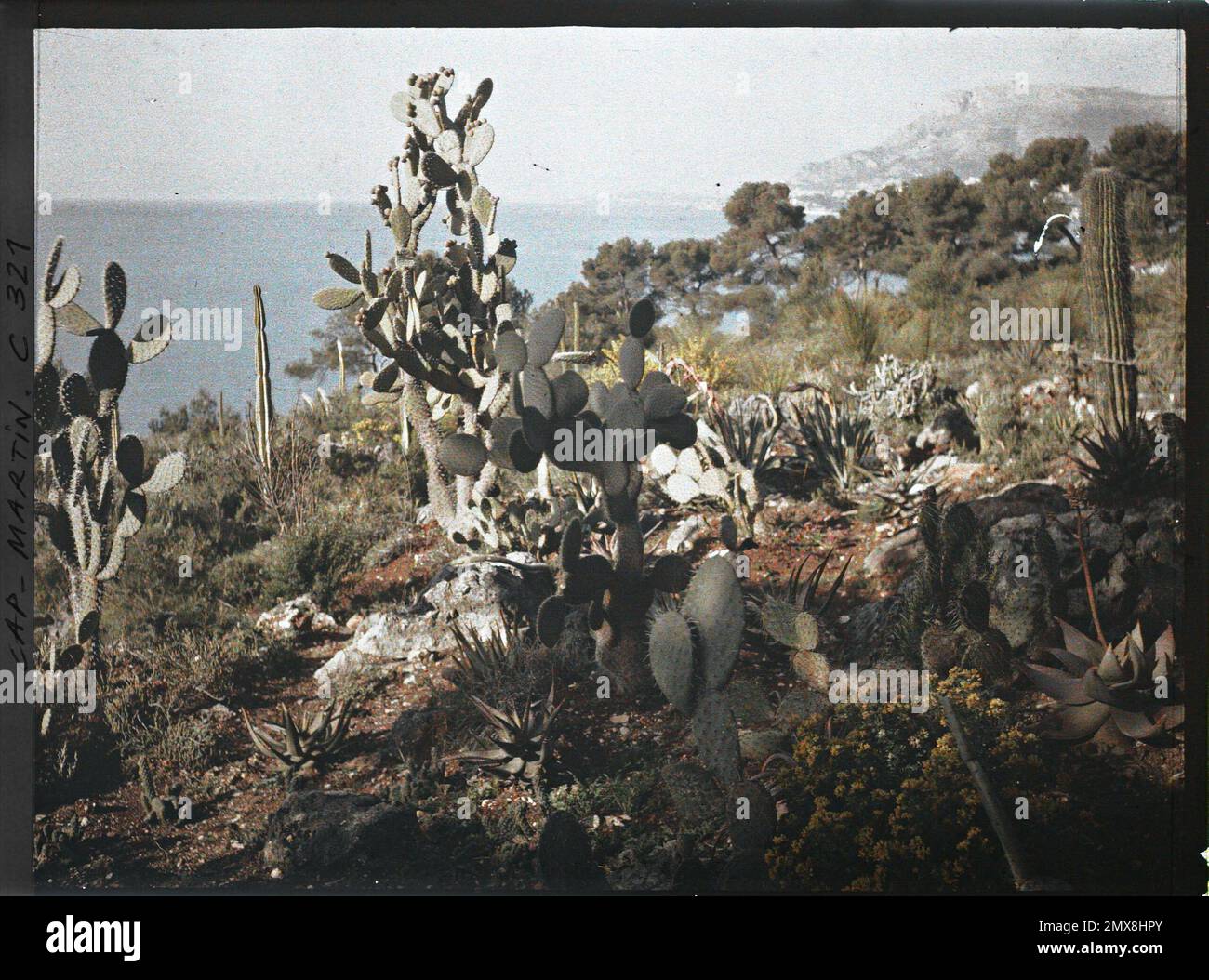 Cap Martin , France , 1914 - Cap Martin - Auguste Léon - (March Stock ...