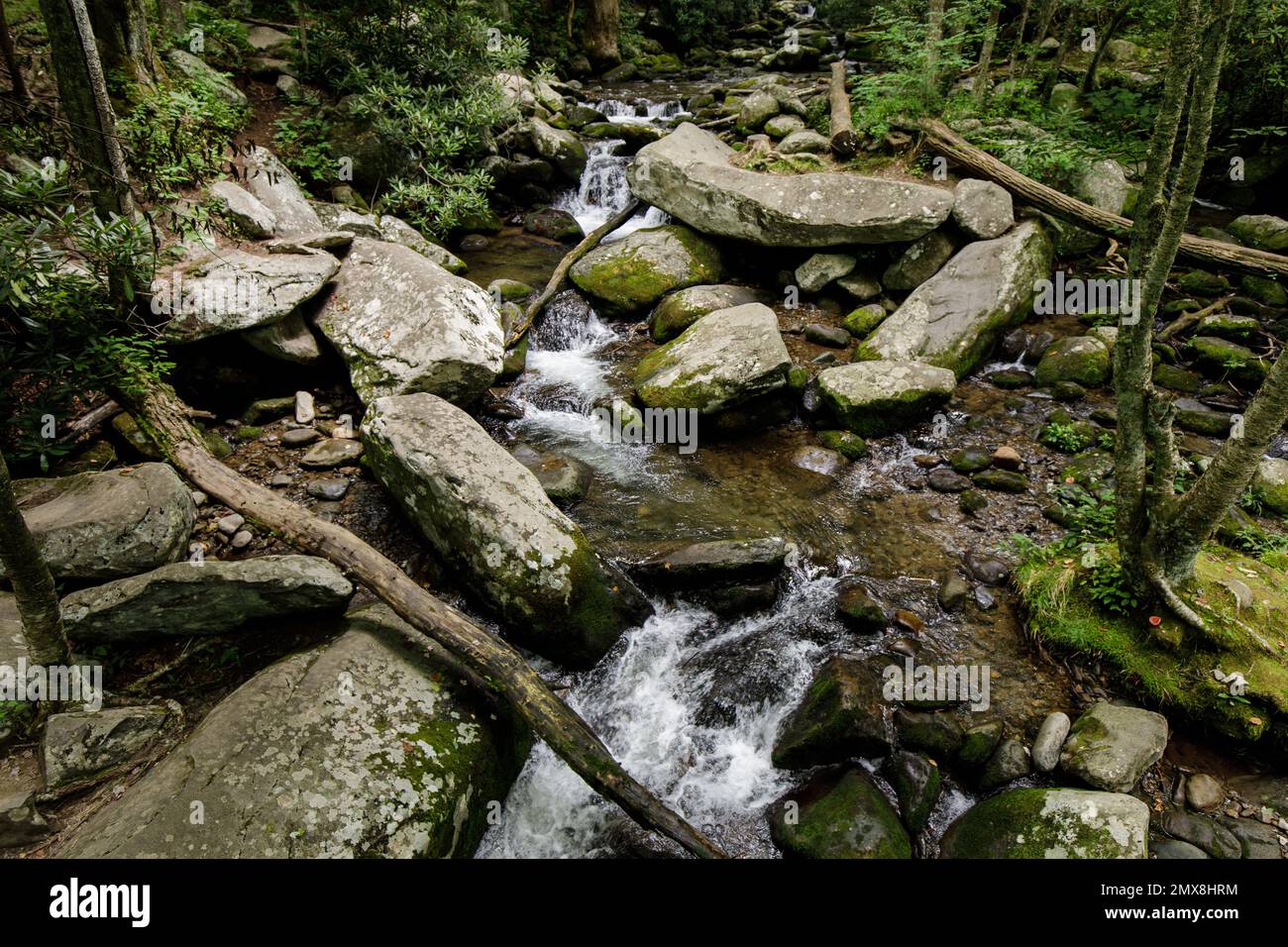 The Roaring Fork stream behind the historic Jim Bale's Place along the ...