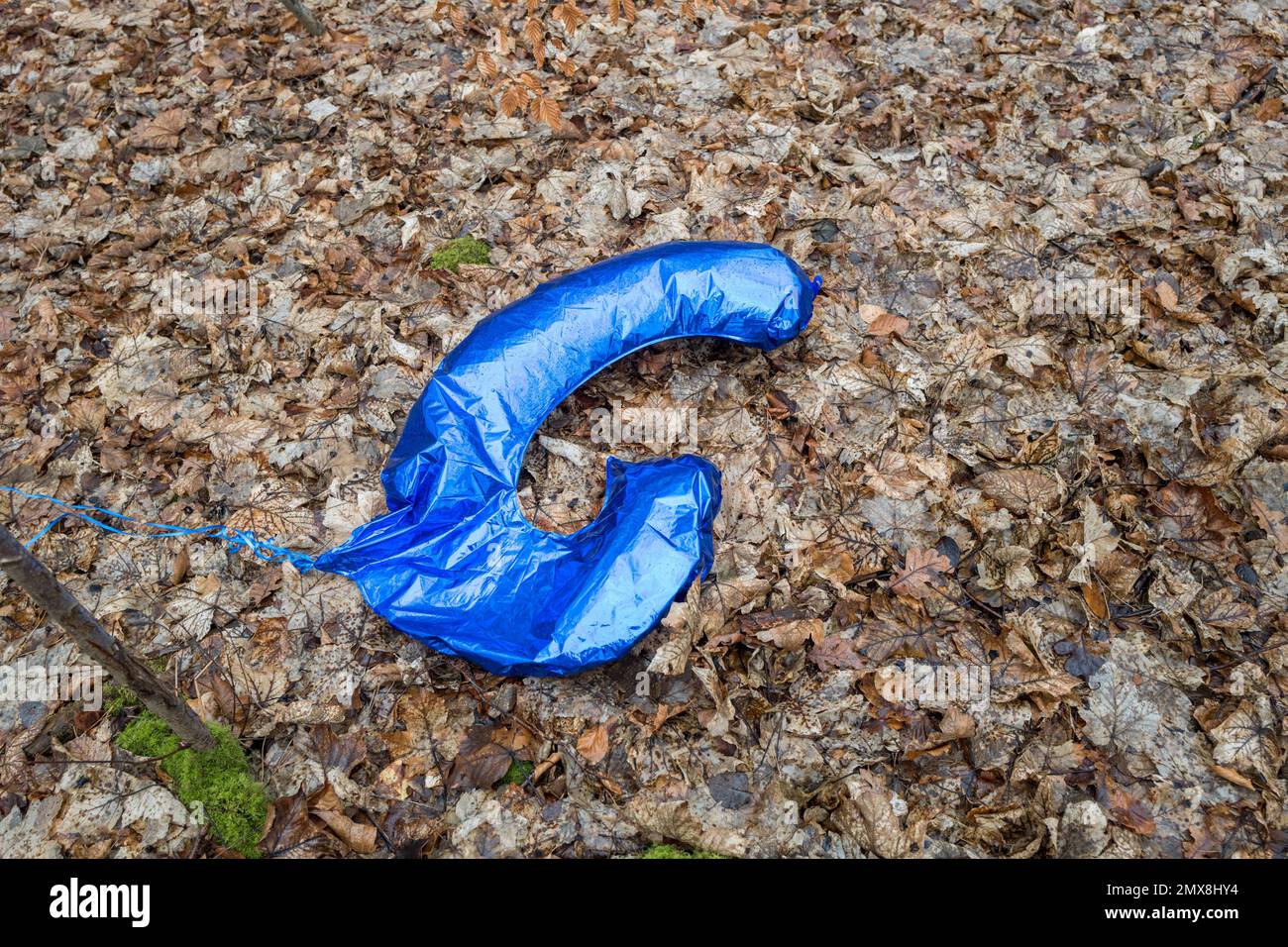 Plastic pollution forest hi-res stock photography and images - Alamy