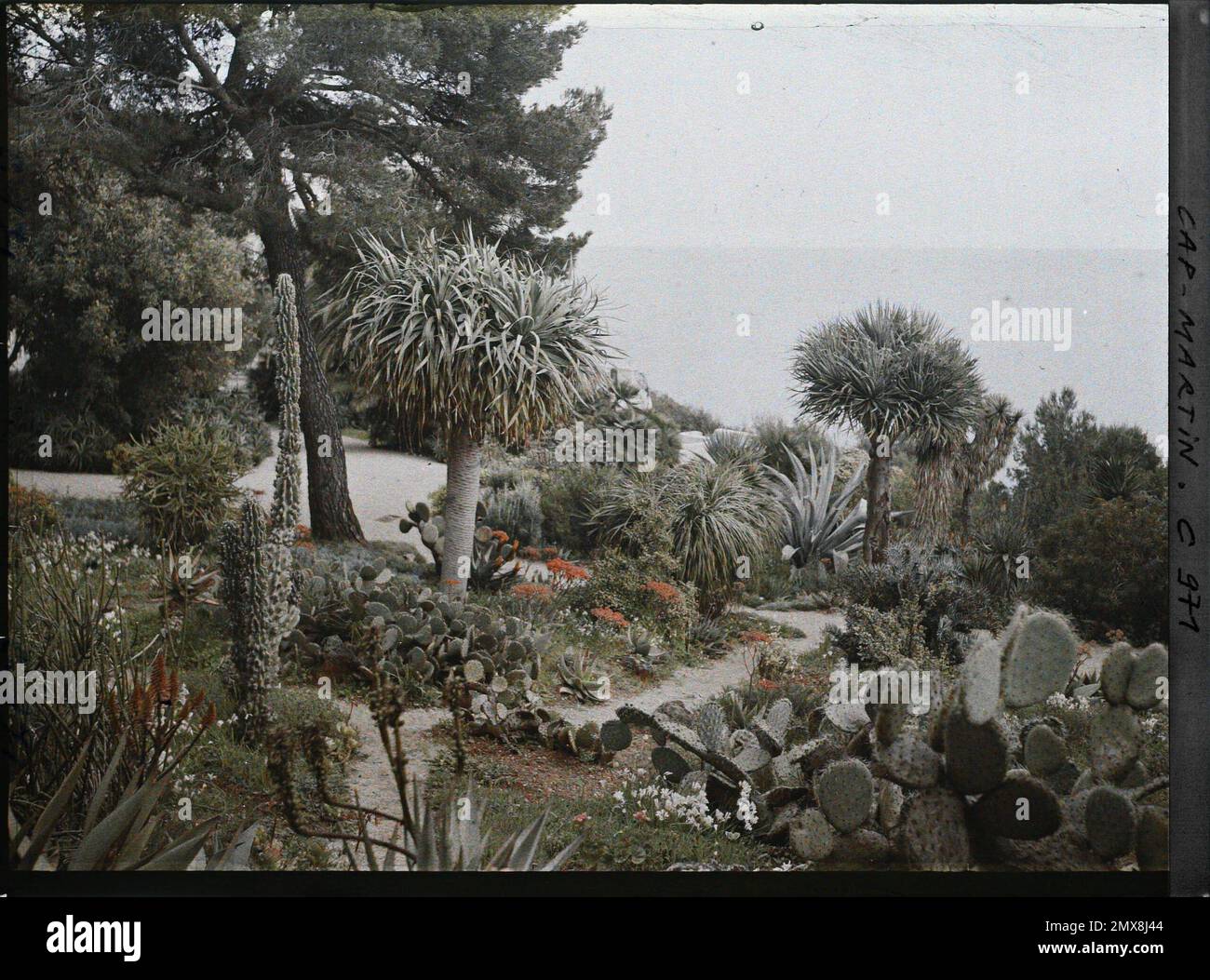 Cap Martin , France , 1927 - Cap Martin - Auguste Léon - (March -April ...
