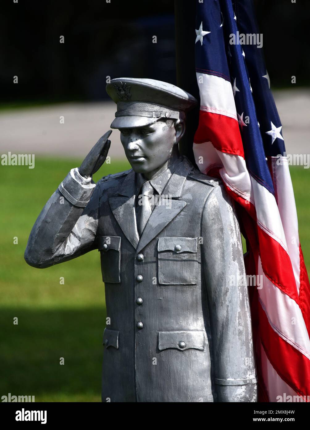 Soldier saluting american flag hi-res stock photography and images - Alamy