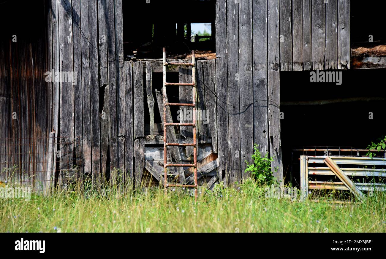 Rusty, metal ladder leans against faded, weathered, wooden barn. Ladder ...