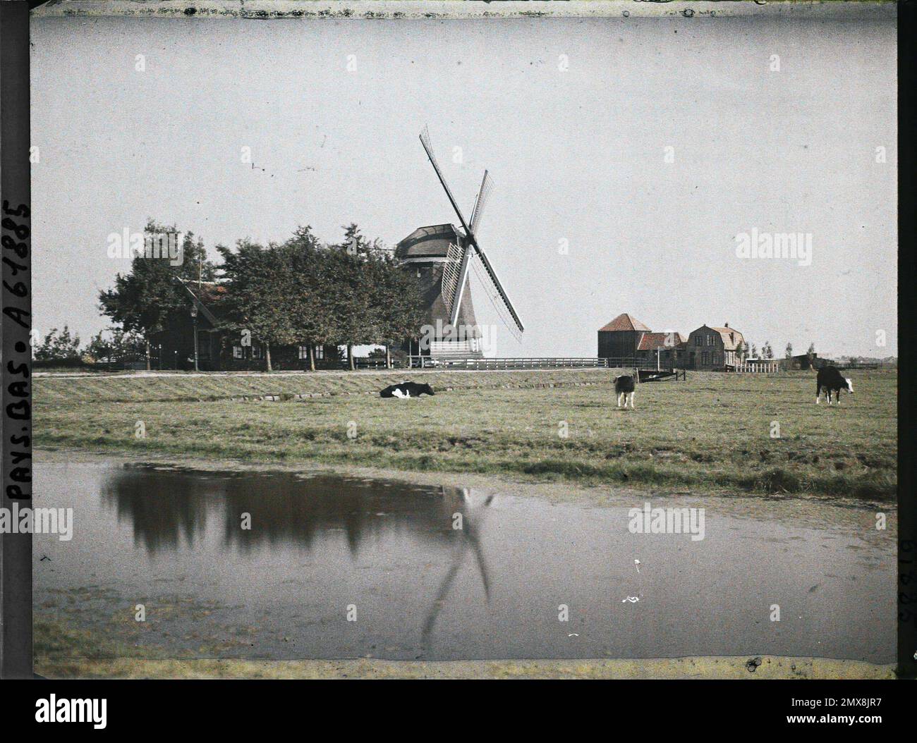 Edam, the Netherlands closes and windmill in a polder , 1929 ...