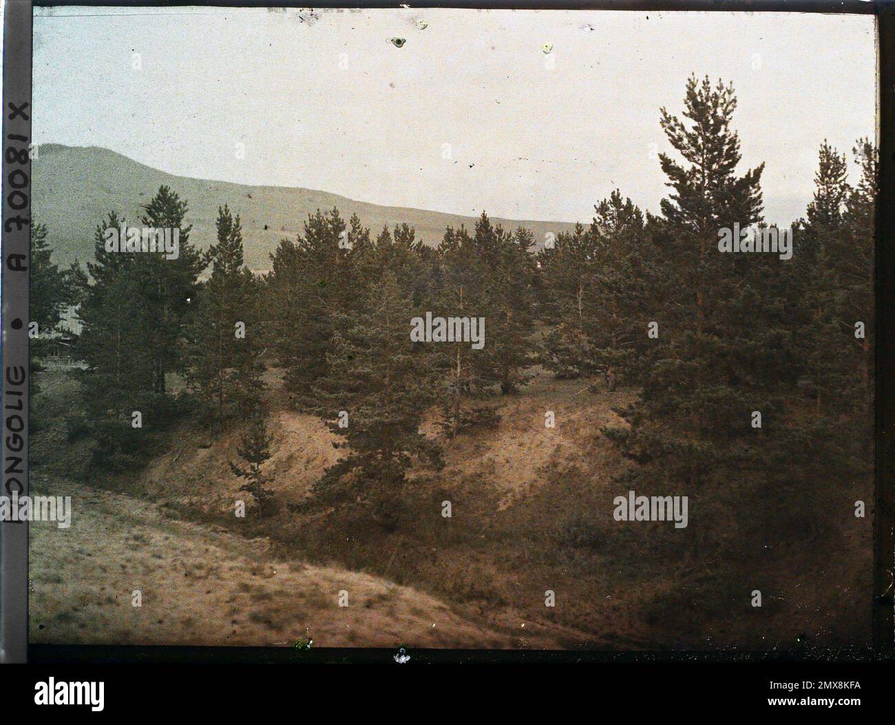 Between Kiakhta and Ourga, Transbaïkalie La Taiga , 1913 - Mongolia ...