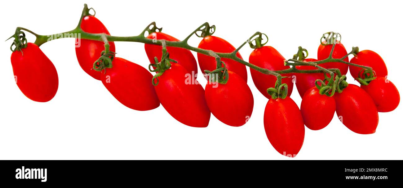 Banch of ripe red cherry plum tomatoes Stock Photo - Alamy