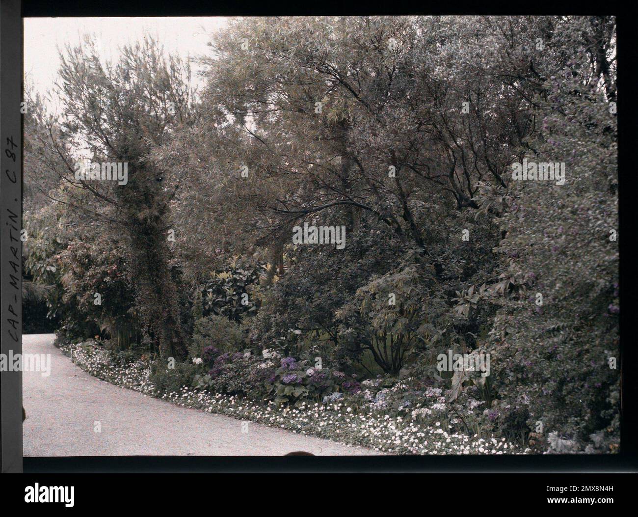 Cap Martin, Alpes-Maritimes, France Le Jardin , 1910 - Cap Martin ...