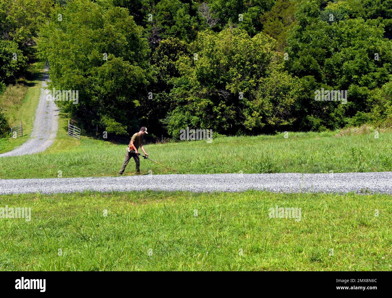 Young man works to trim gravel driveway. It is Summer and grass is ...