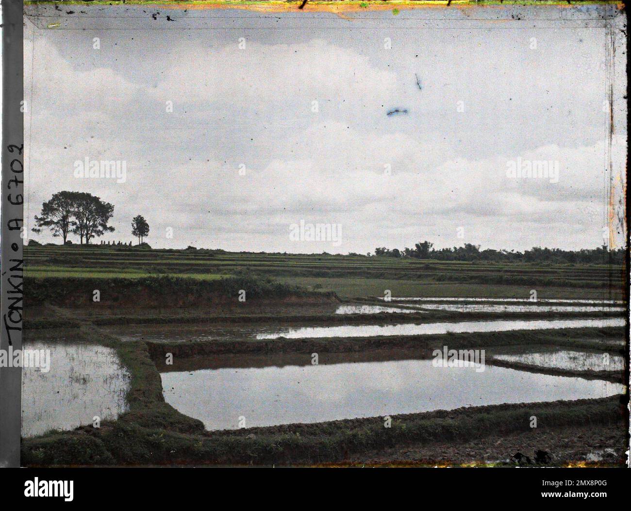 Tong, Son-Tai province, Tonkin, Indochina of the stored rice fields ...