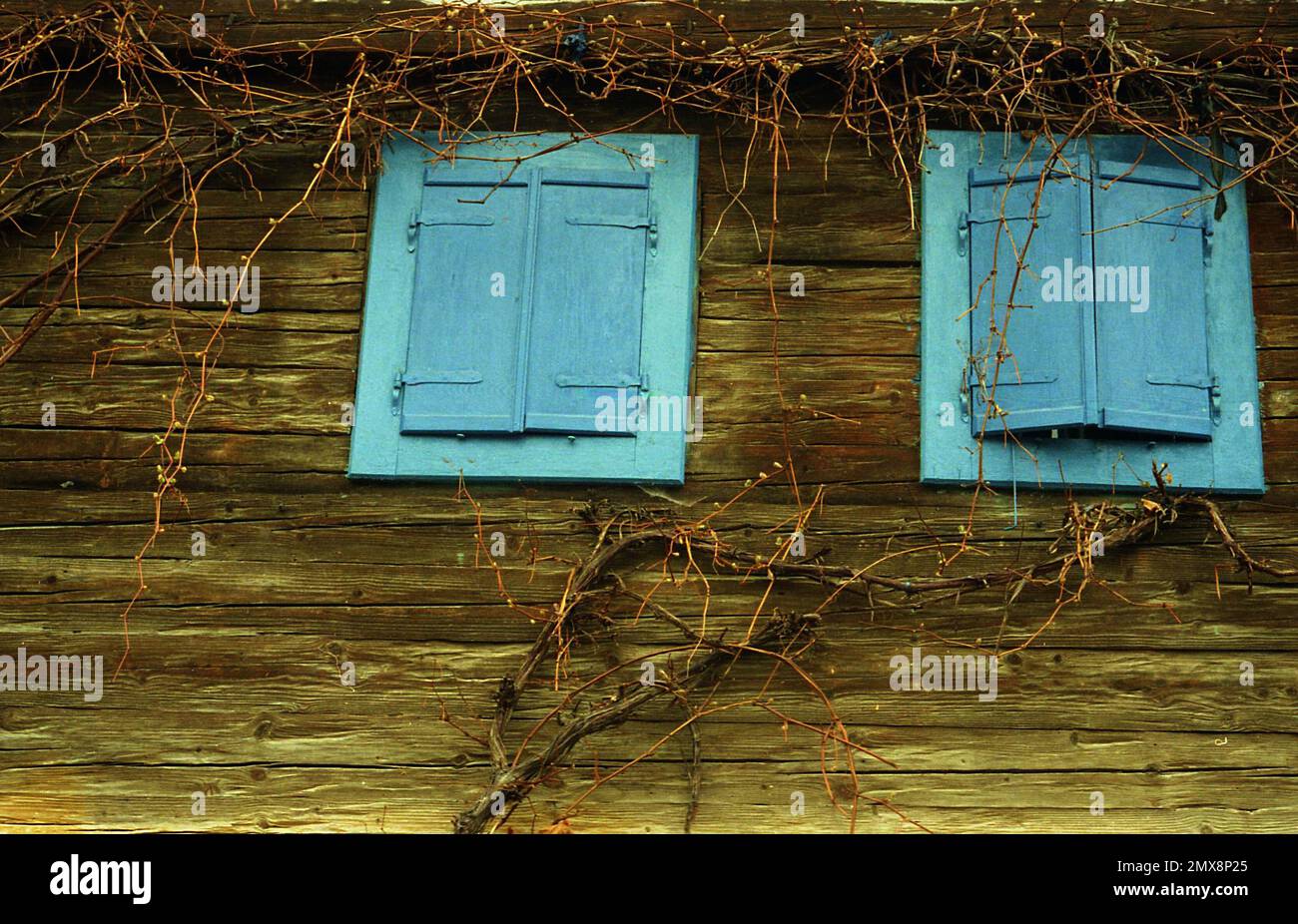 Sibiu County, Romania, 2000. Beautiful facade of a traditional 19th ...