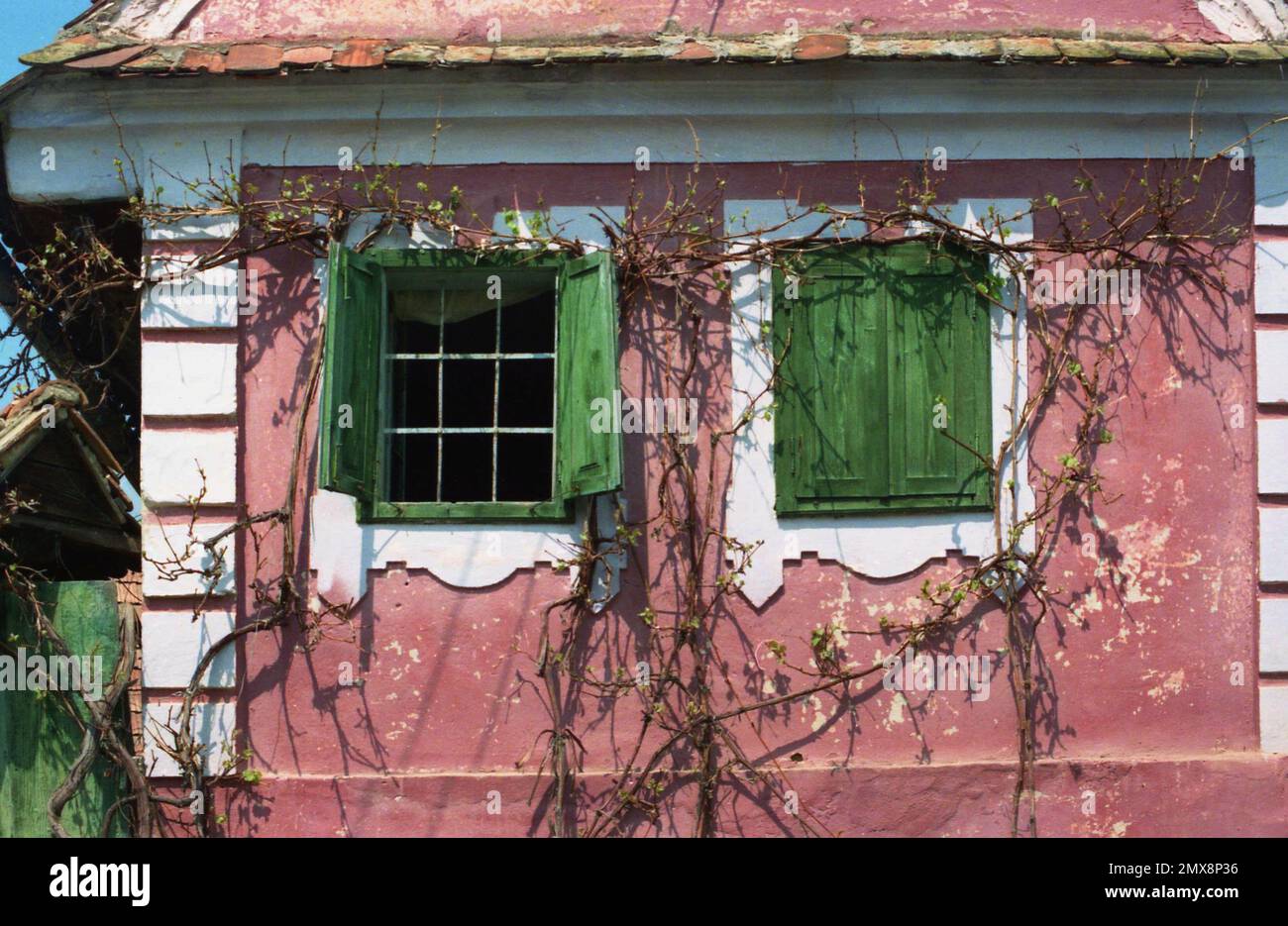Sibiu County, Romania, 2000. Beautiful facade of a traditional 19th ...