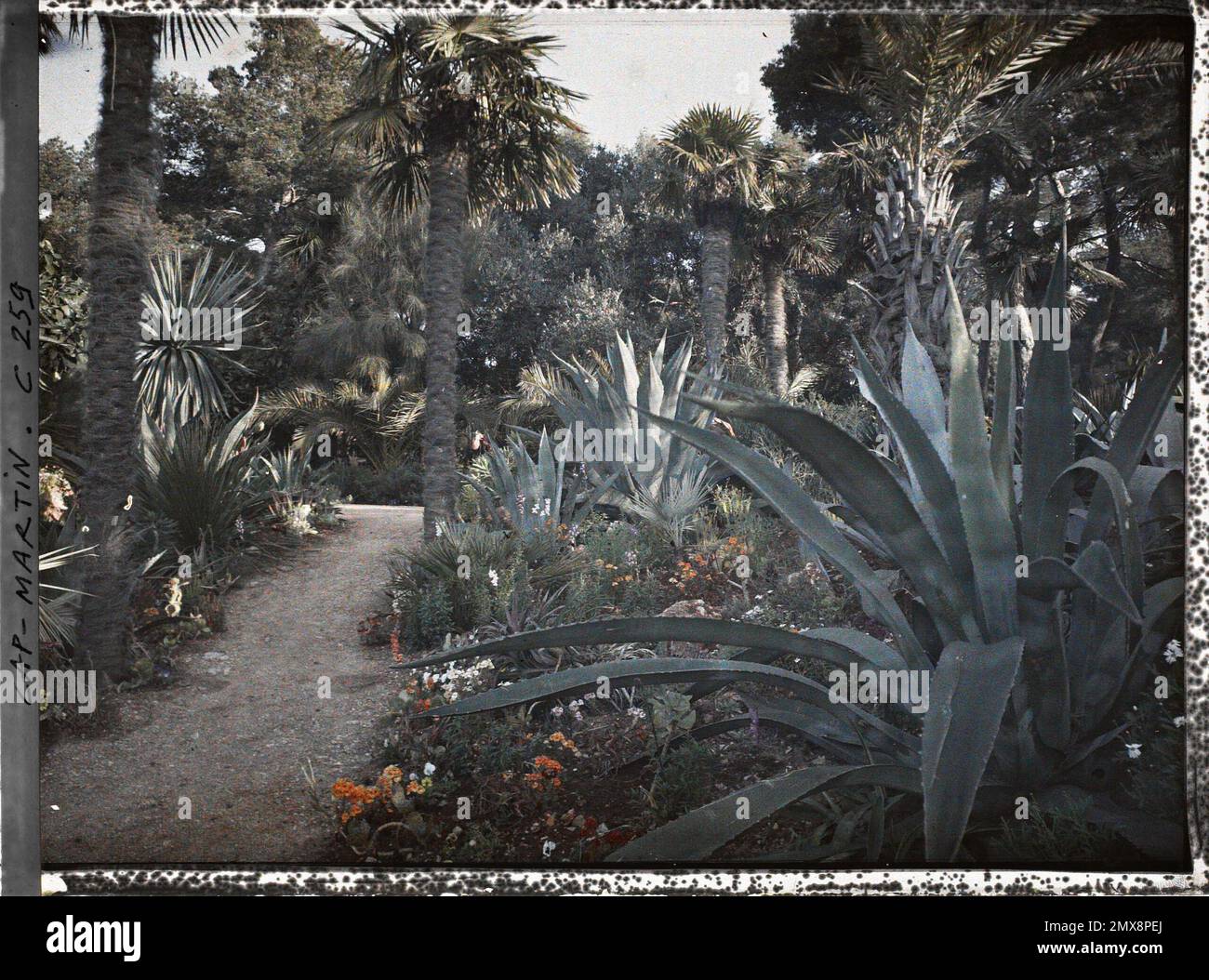 Cap Martin , France , 1914 - Cap Martin - Auguste Léon - (March Stock ...