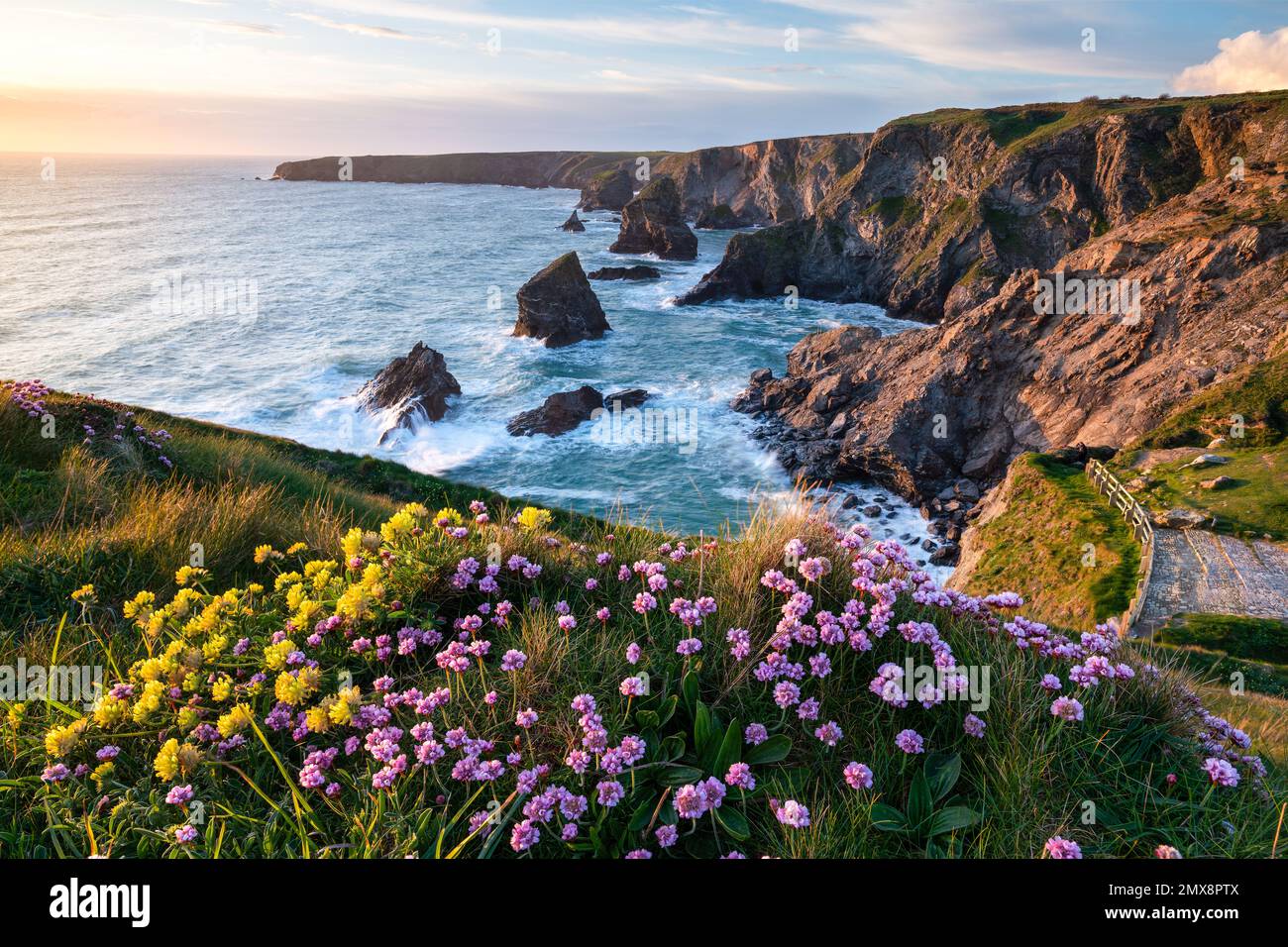 Steps with flowers hi-res stock photography and images - Alamy