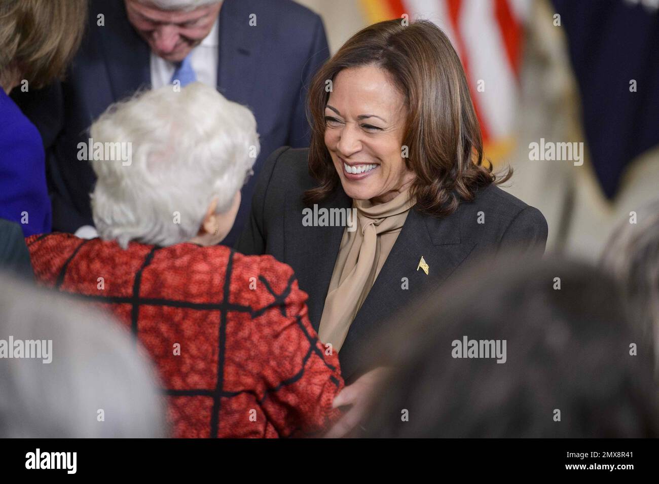 Vice President Kamala Harris embraces Judith Lichtman, an American ...