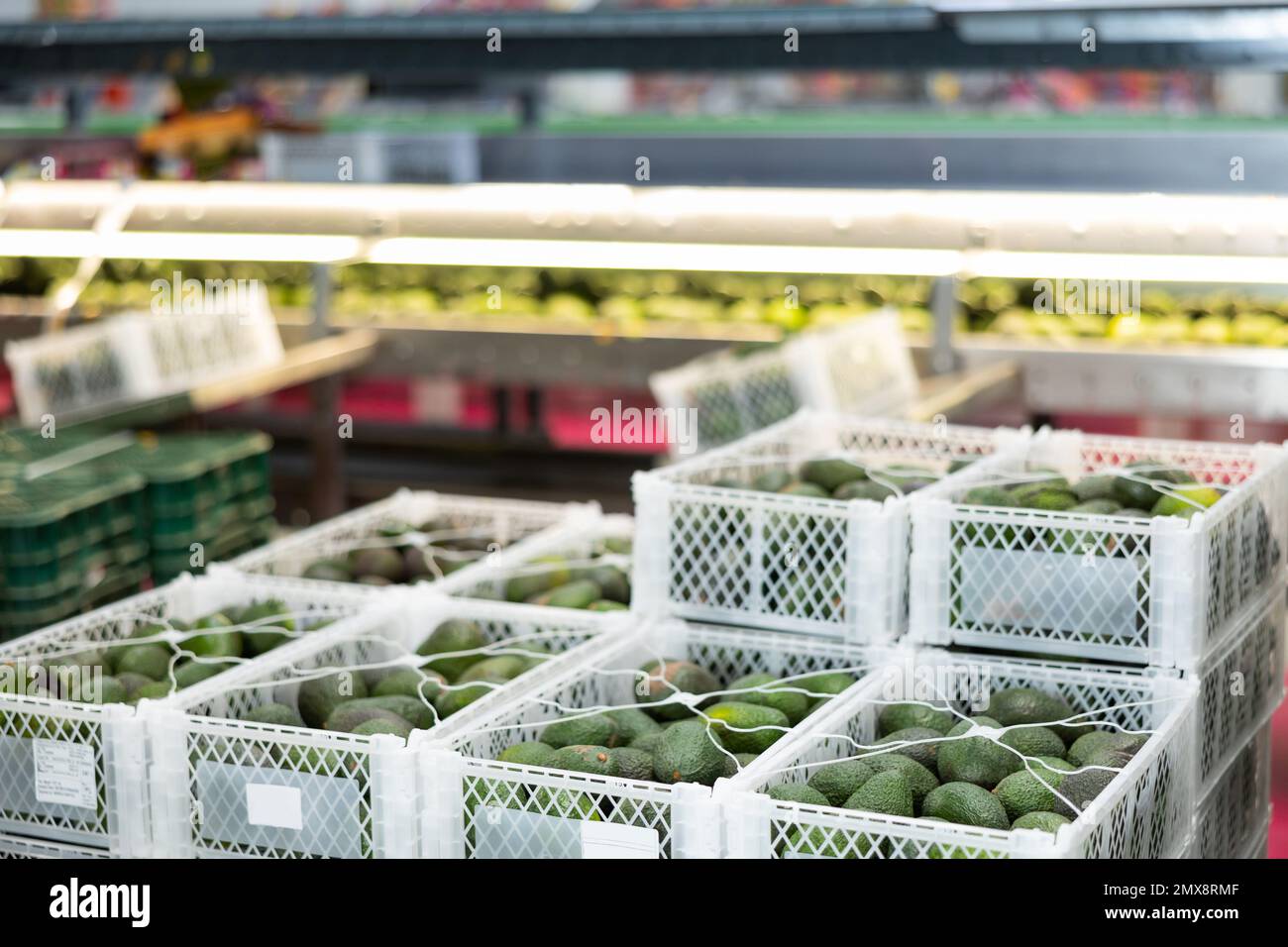 Stacks of boxes with selected ripe Hass avocados in fruit warehouse ...