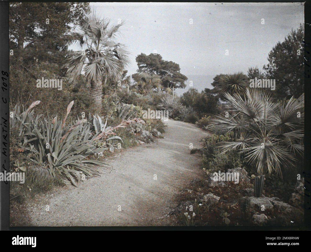 Cap Martin , France , 1927 - Cap Martin - Auguste Léon - (March -April ...