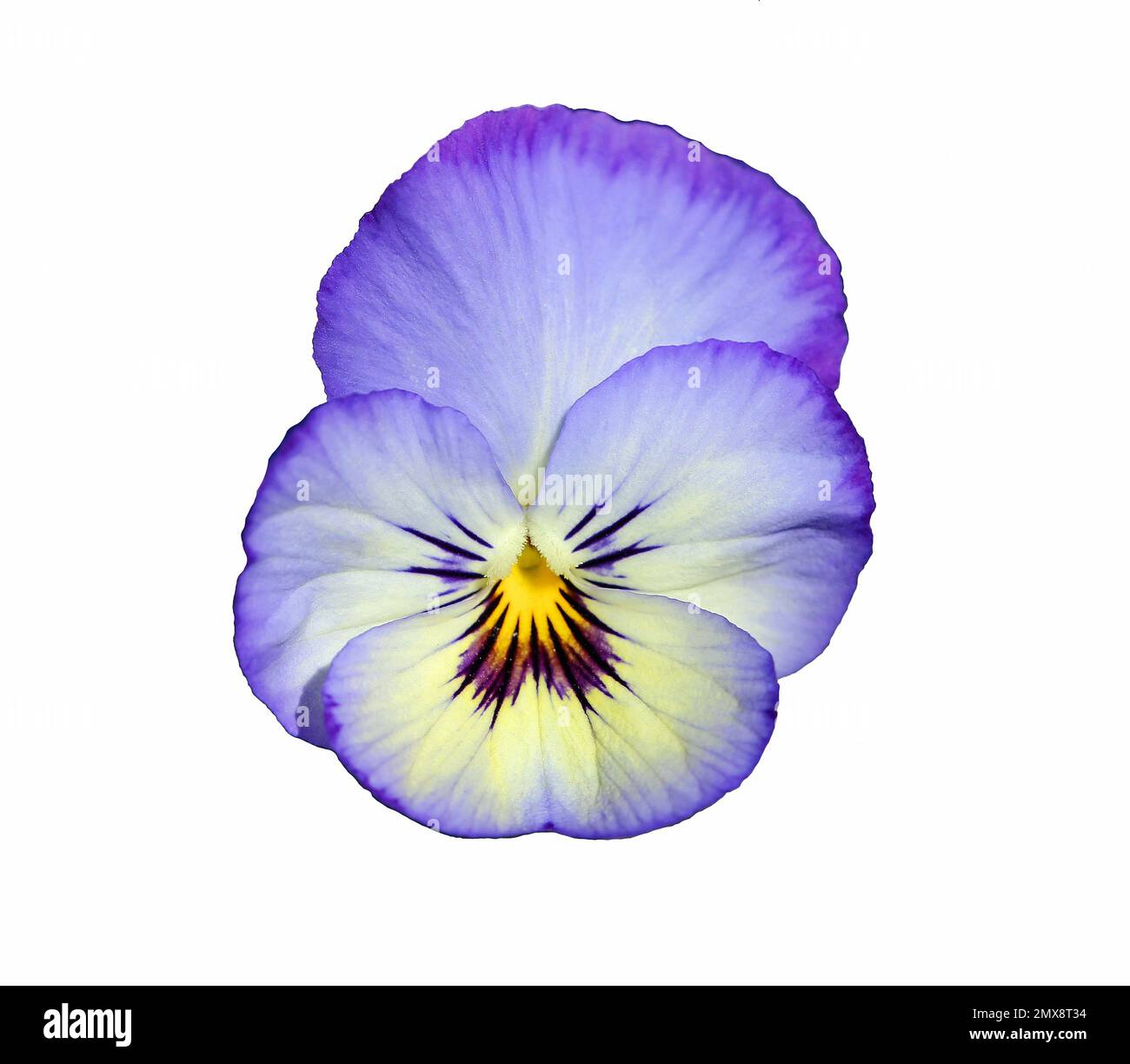 Park texas Cut Out Stock Images & Pictures - Alamy