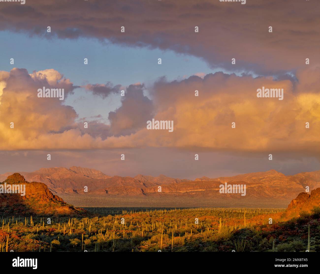 Sonoyta valley hi-res stock photography and images - Alamy