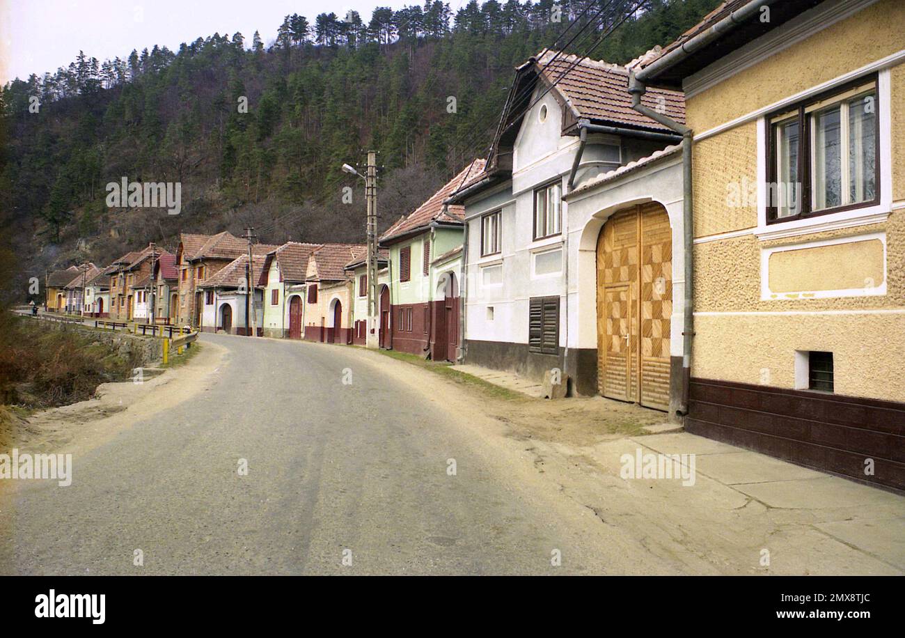 Old adjoined Saxon houses along a village road in Sibiu County, Romania ...