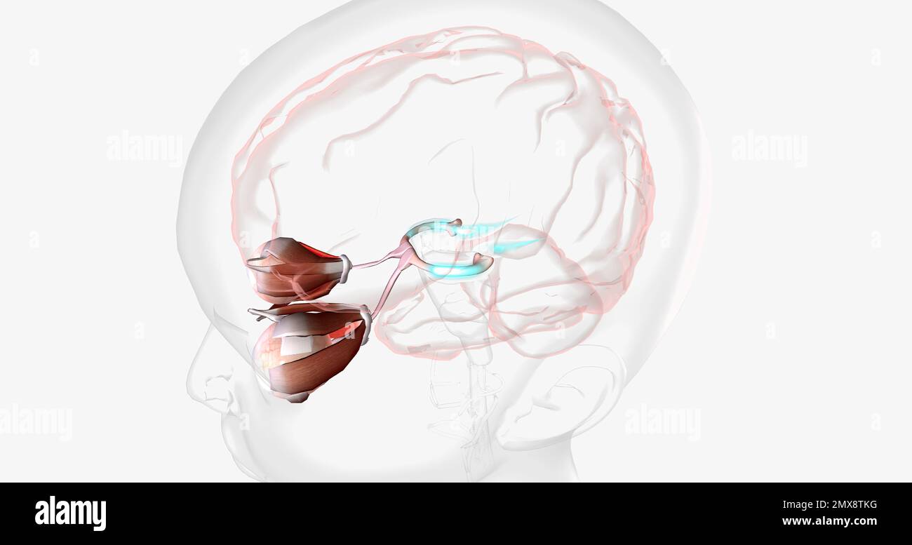 Eye movement desensitization and reprocessing therapy hi-res stock ...