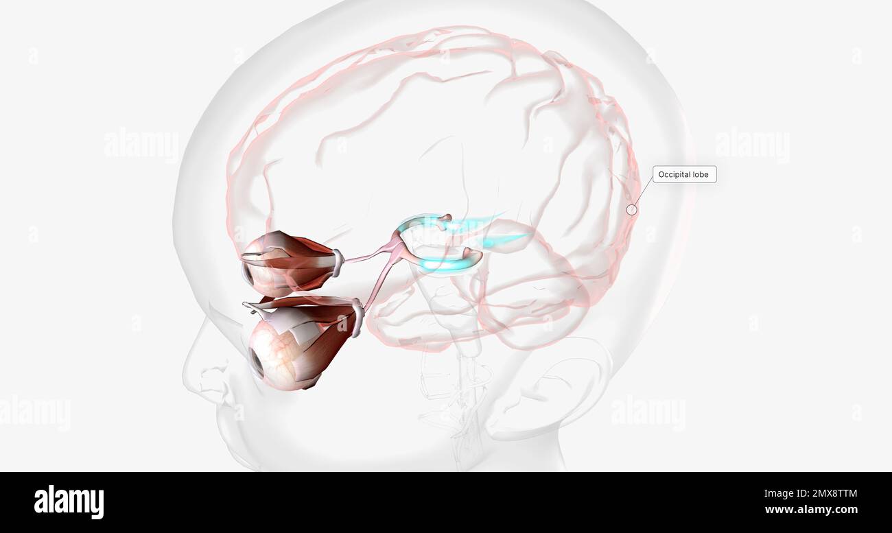 Eye movement desensitization and reprocessing therapy hi-res stock ...