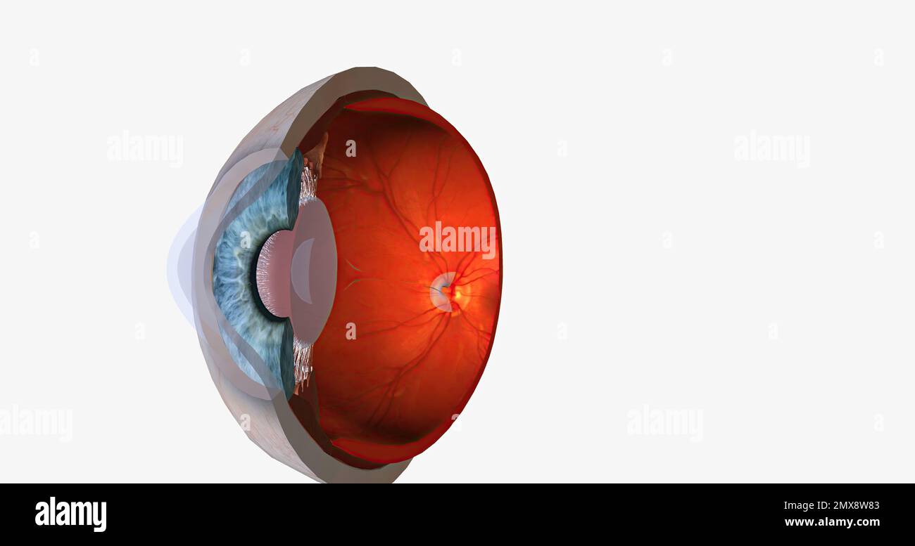 Corneal topography Cut Out Stock Images & Pictures - Alamy