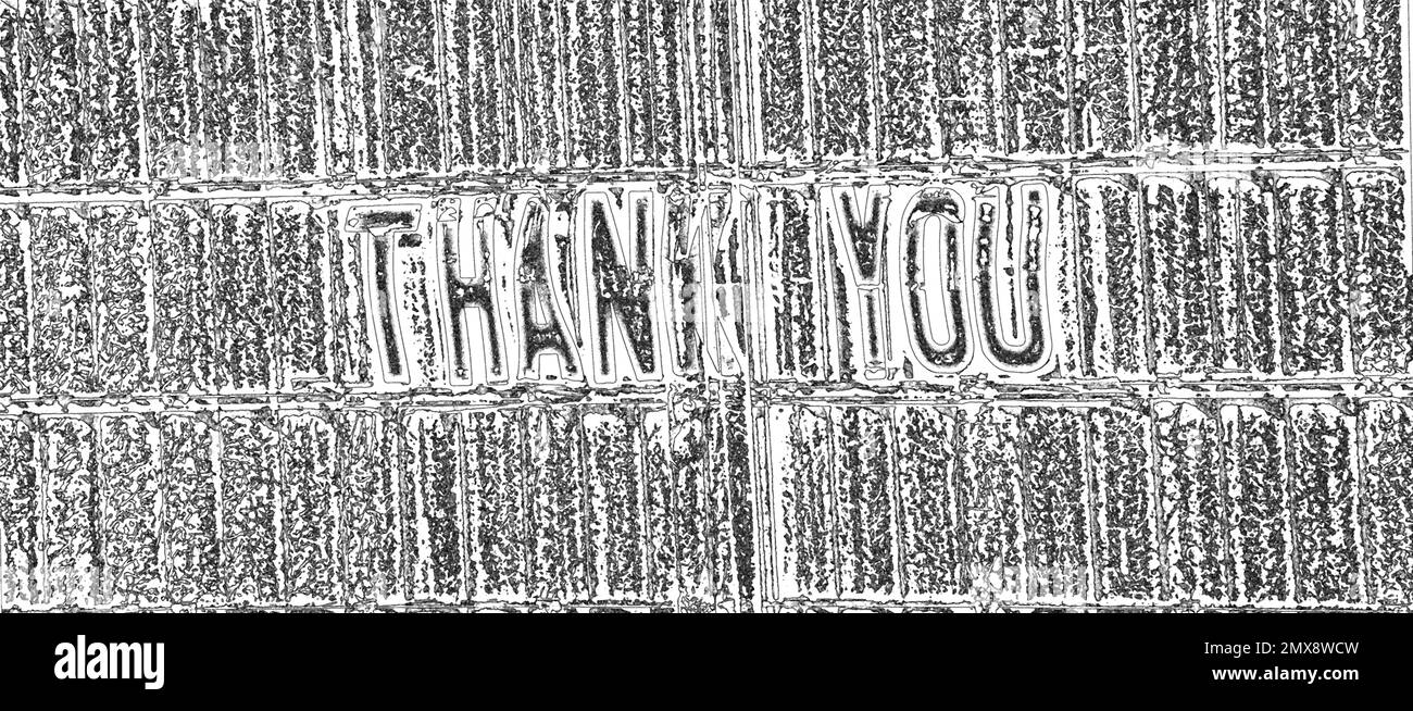 Graphic image showing static, grunge, distortion. Thank you is hidden ...