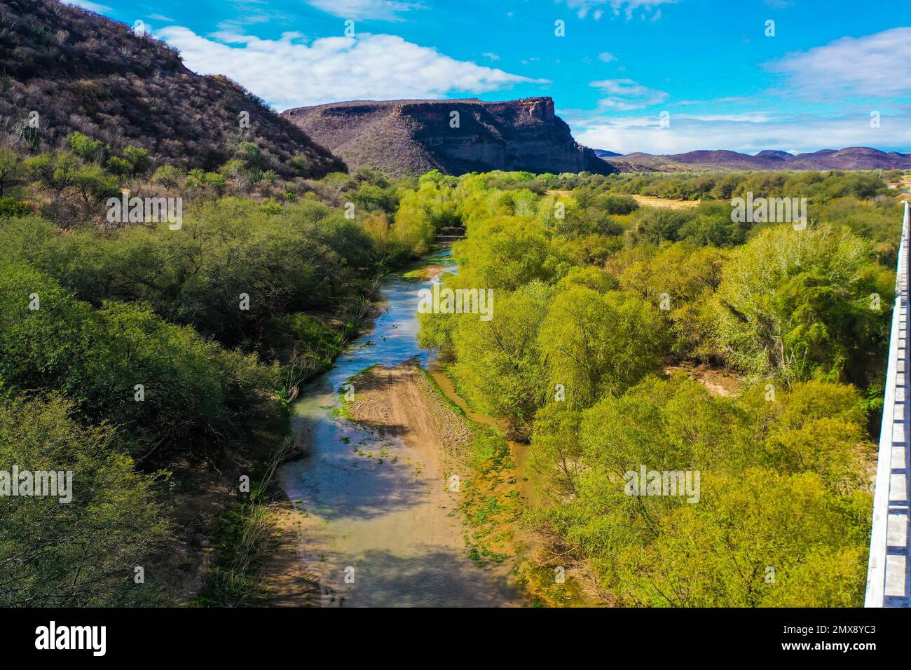 Biodiversidad de mexico hi-res stock photography and images - Alamy