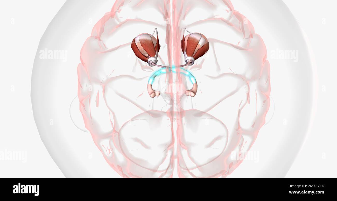 Eye movement desensitization and reprocessing therapy hi-res stock ...